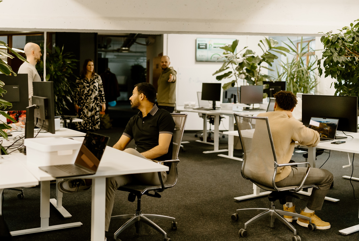 Productive work environment: Types, elements, best practices